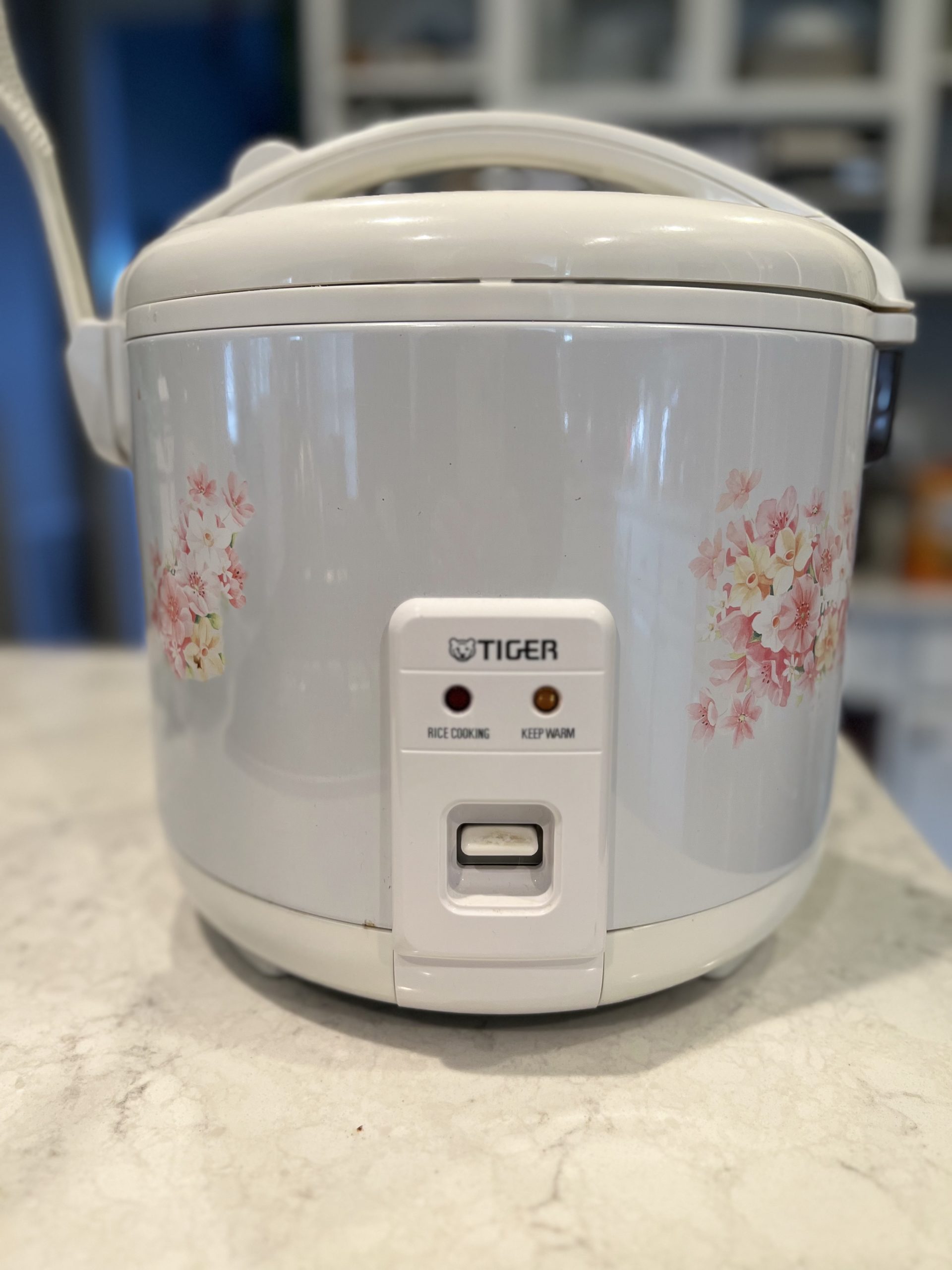 How to Make the Perfect Jasmine Rice – Everyday Road to Healthy