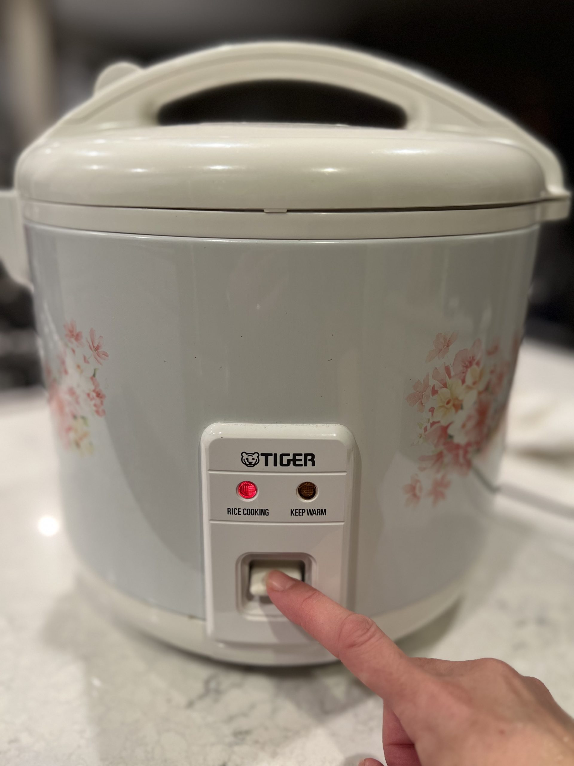 How to Make the Perfect Jasmine Rice – Everyday Road to Healthy